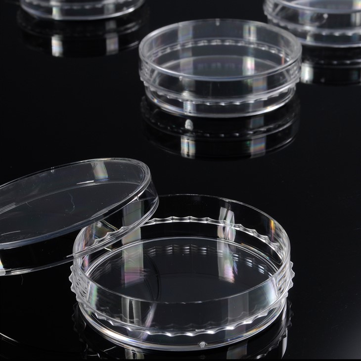 Fabricants et fournisseurs de plats de culture cellulaire transparents ...